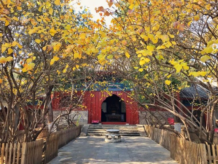 Best of Beijing: The Most Beautiful Places to See this Spring ...